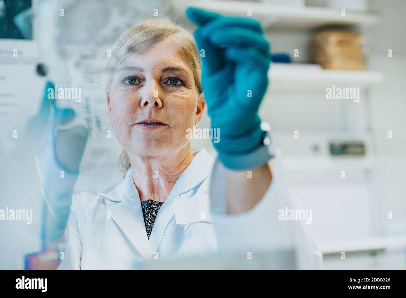 Female scientist holding human brain microscope slide while standing at ...