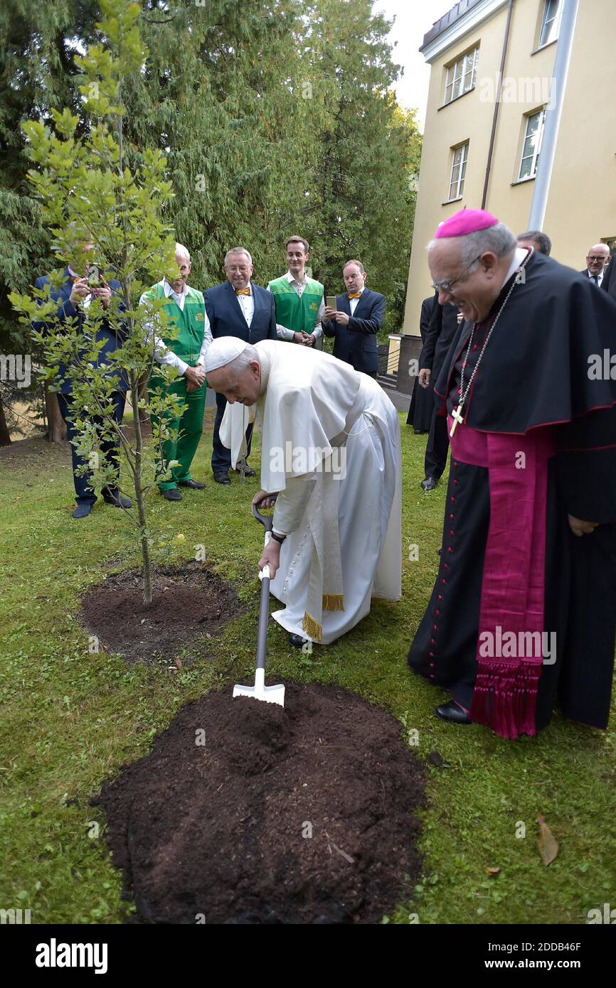 Pope Francis plants a tree in the garden of the apostolic nunciature in ...