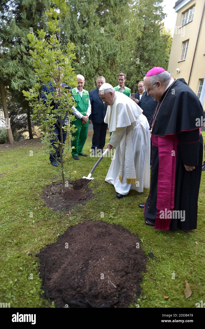 Pope Francis plants a tree in the garden of the apostolic nunciature in ...