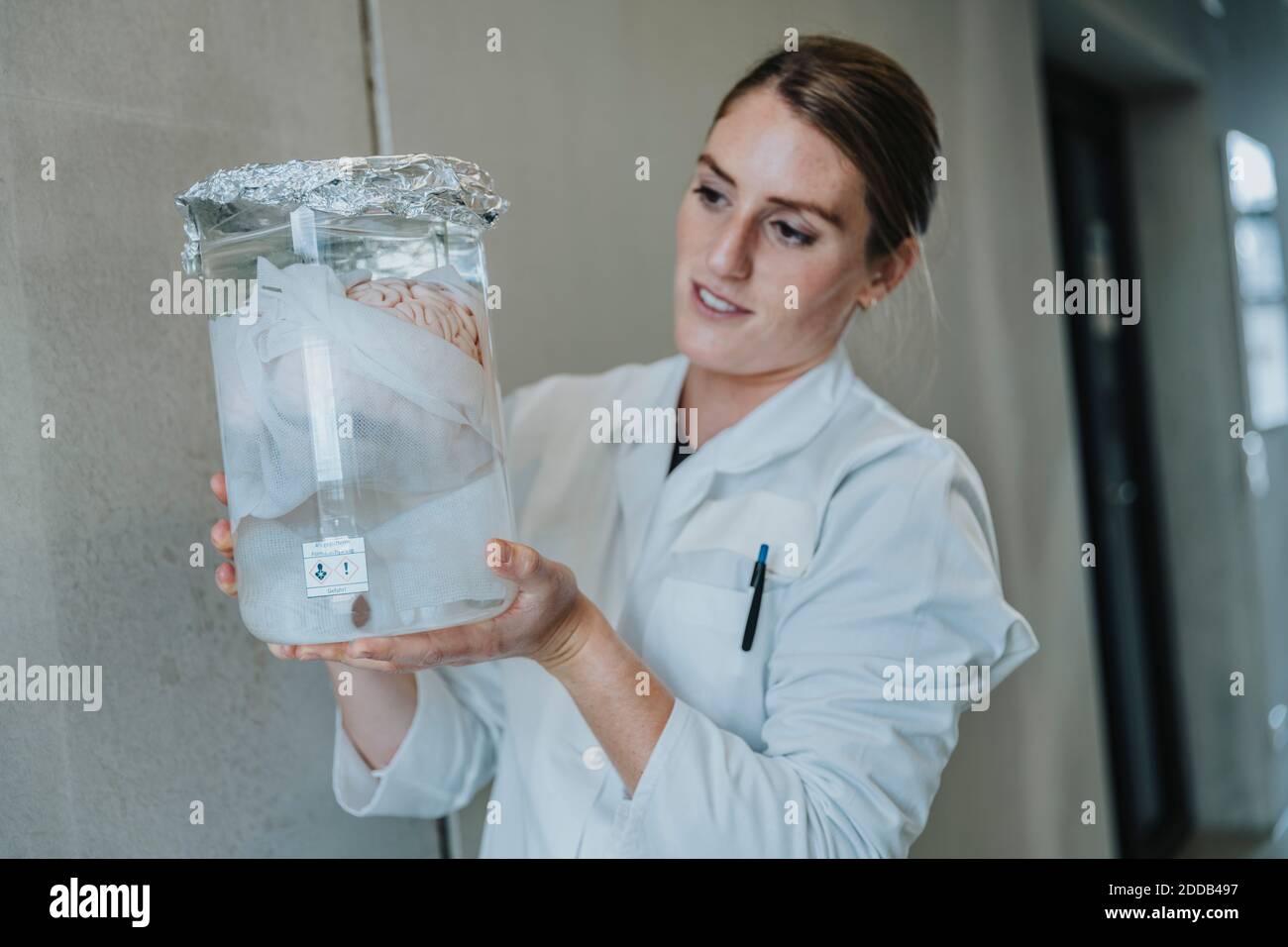 Female scientist holding preserved human brain beaker while standing at ...