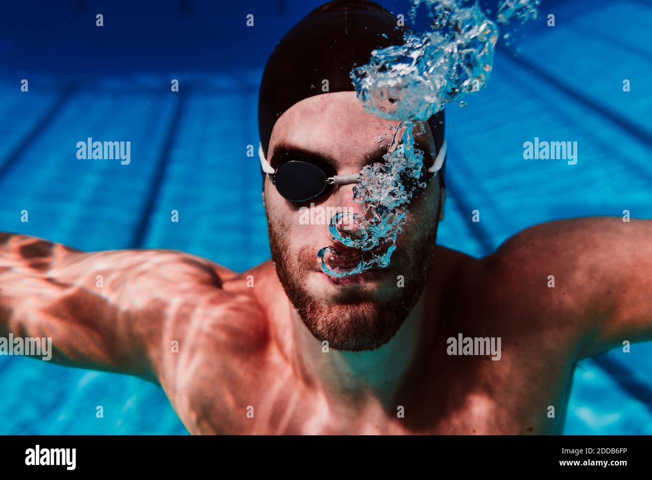 Young male swimmer diving in swimming pool Stock Photo - Alamy
