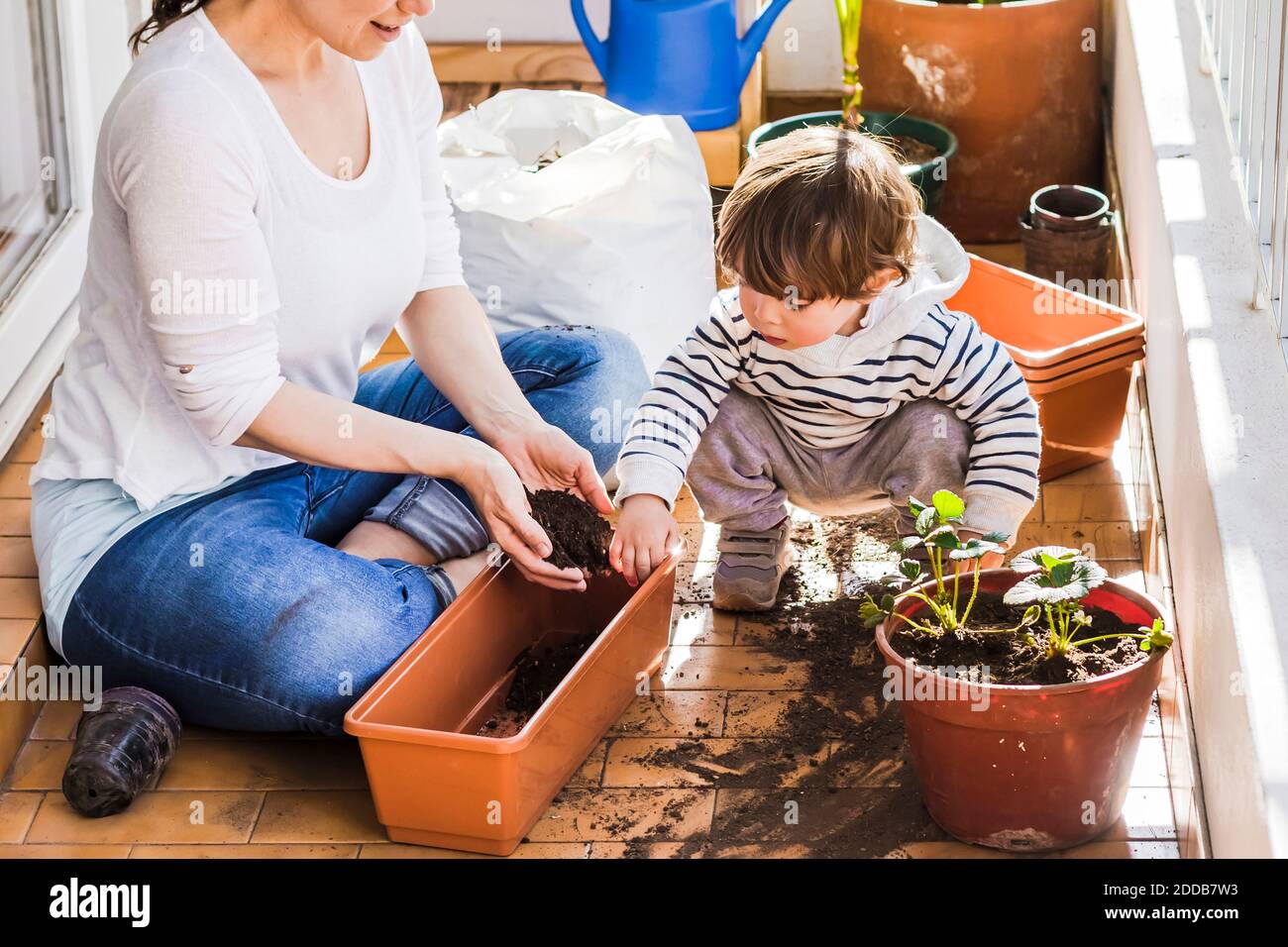 Mother and son planting seed in pot together while sitting at balcony ...