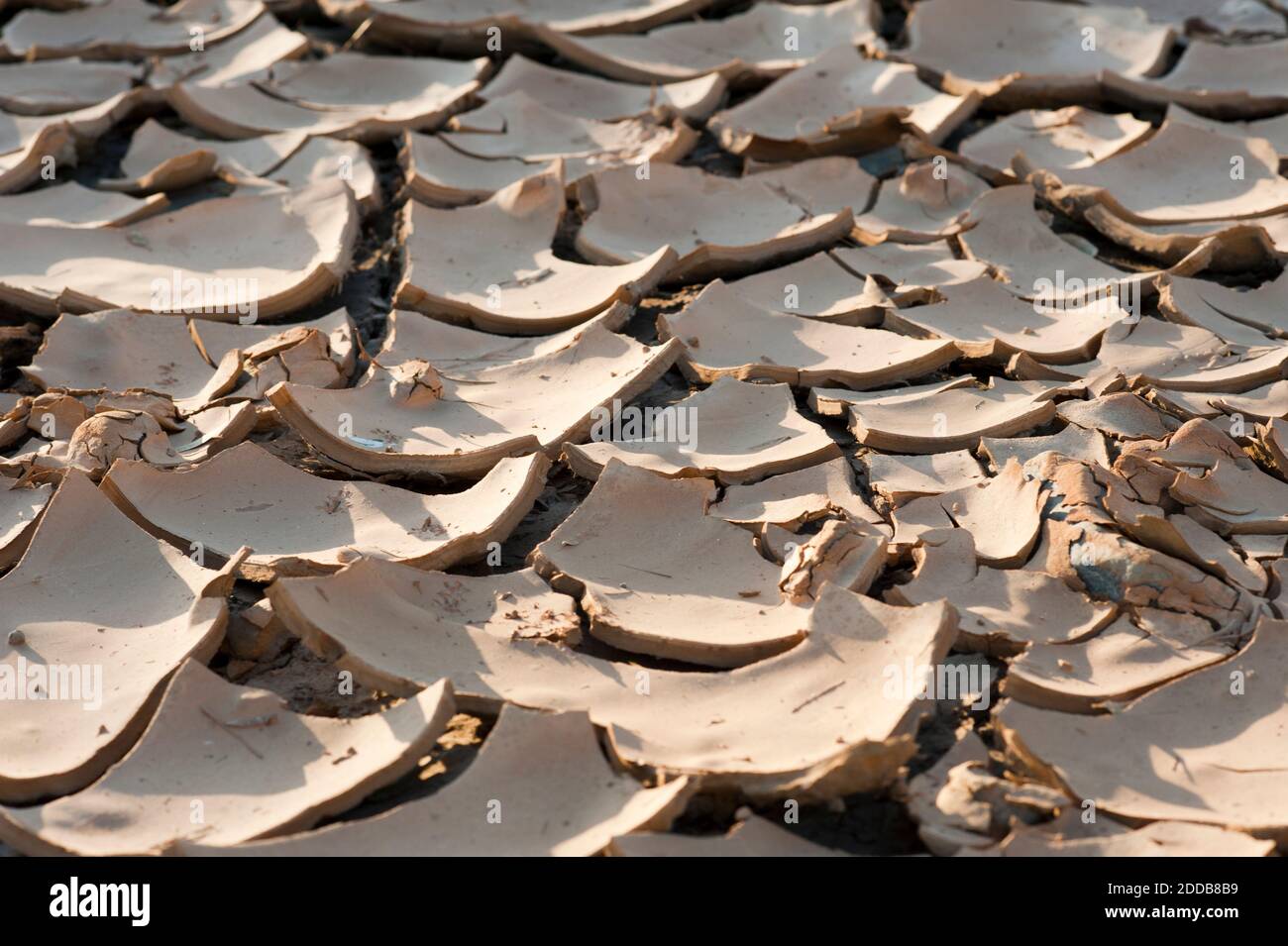 dry cracks on the ground, severe water shortage. Climate change Stock ...