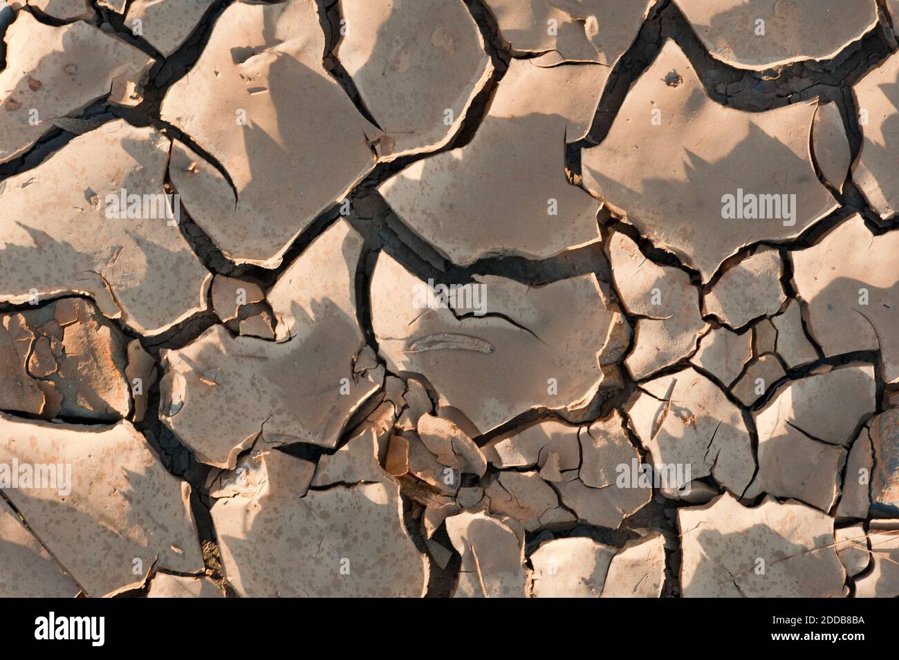 dry cracks on the ground, severe water shortage. Climate change Stock ...