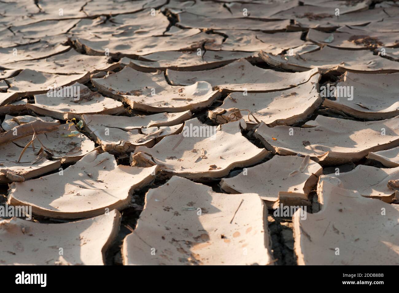 dry cracks on the ground, severe water shortage. Climate change Stock ...