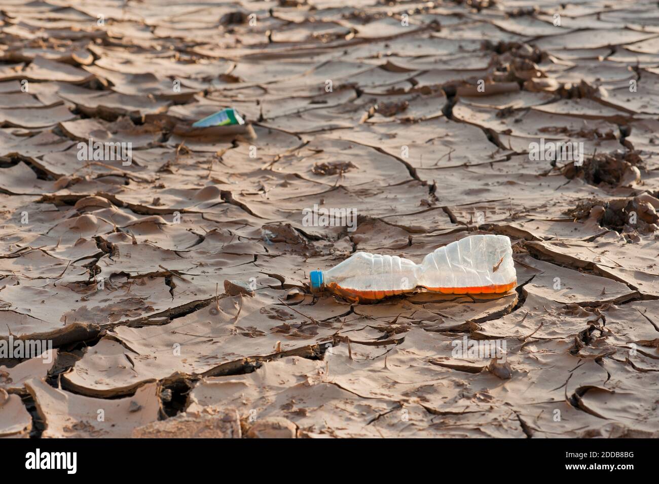 Plastic waste that will not be digested will remain even when the water ...