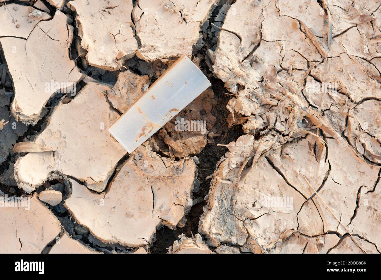 plastic waste on arid land without water, desertification process and ...