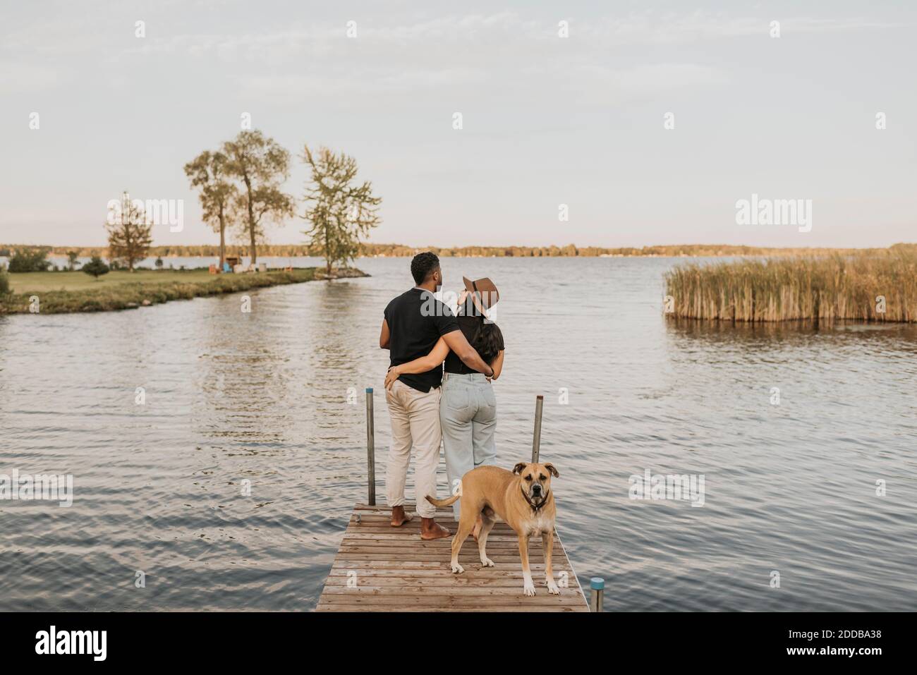 Dog standing by couple on pier against lake Stock Photo - Alamy