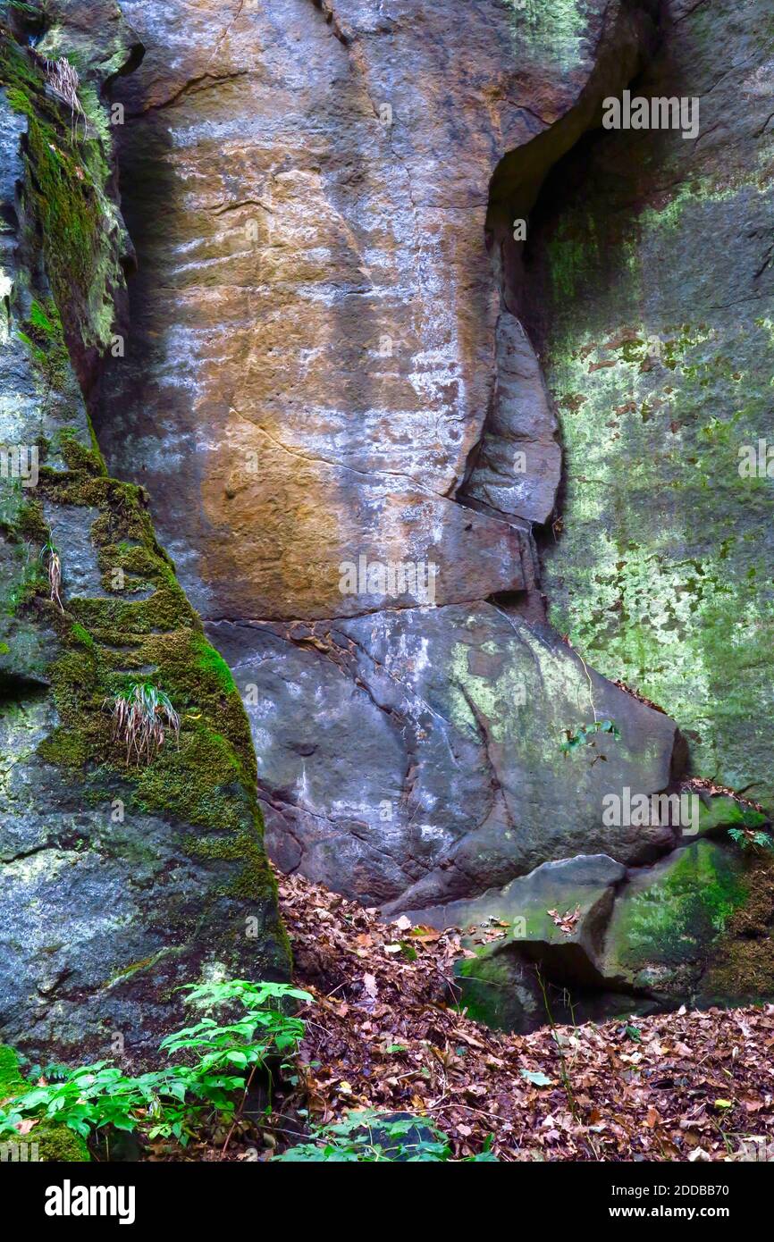 Steep forest cliff Stock Photo - Alamy