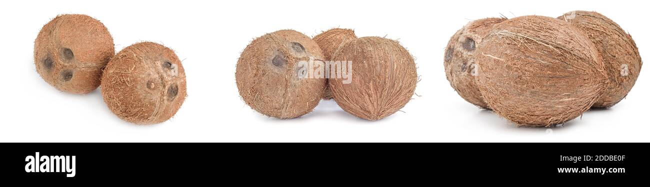 Collection of coconut isolated on a white cutout Stock Photo - Alamy
