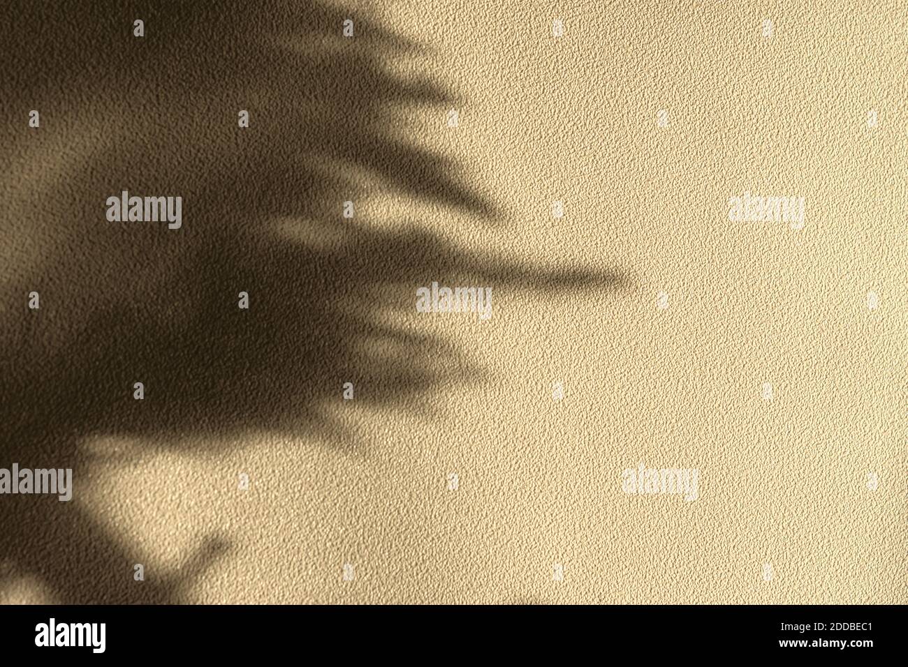 Abstract shadow on a beige wall. Trendy light iridescent color Set Sail ...