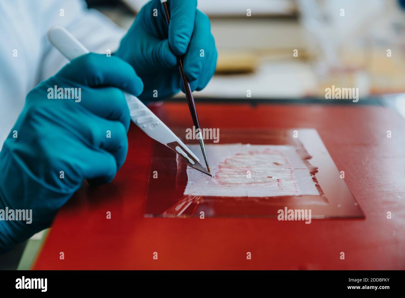 Medical slide preparation hi-res stock photography and images - Alamy