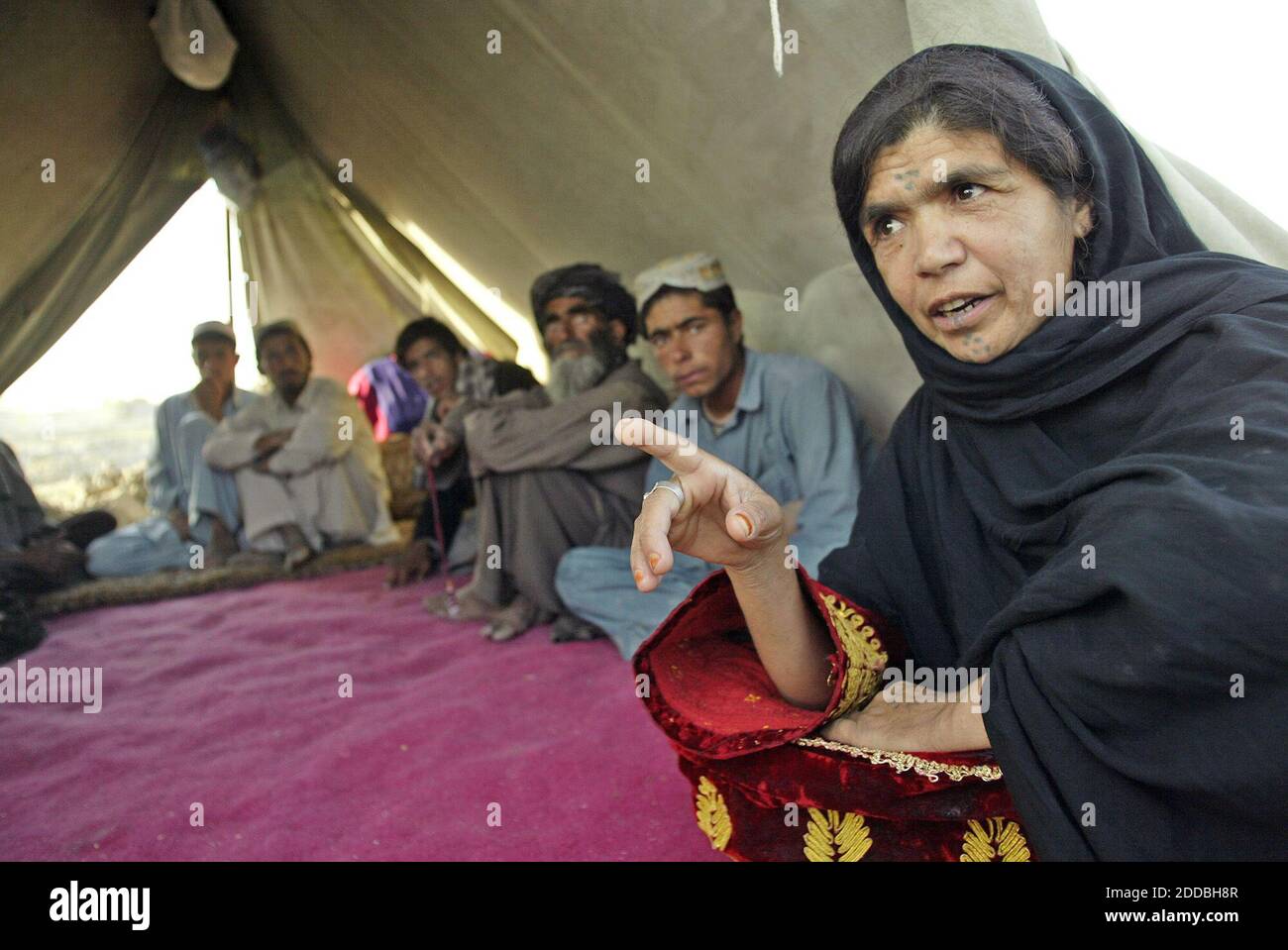 Are Kuchi Hypoallergenic