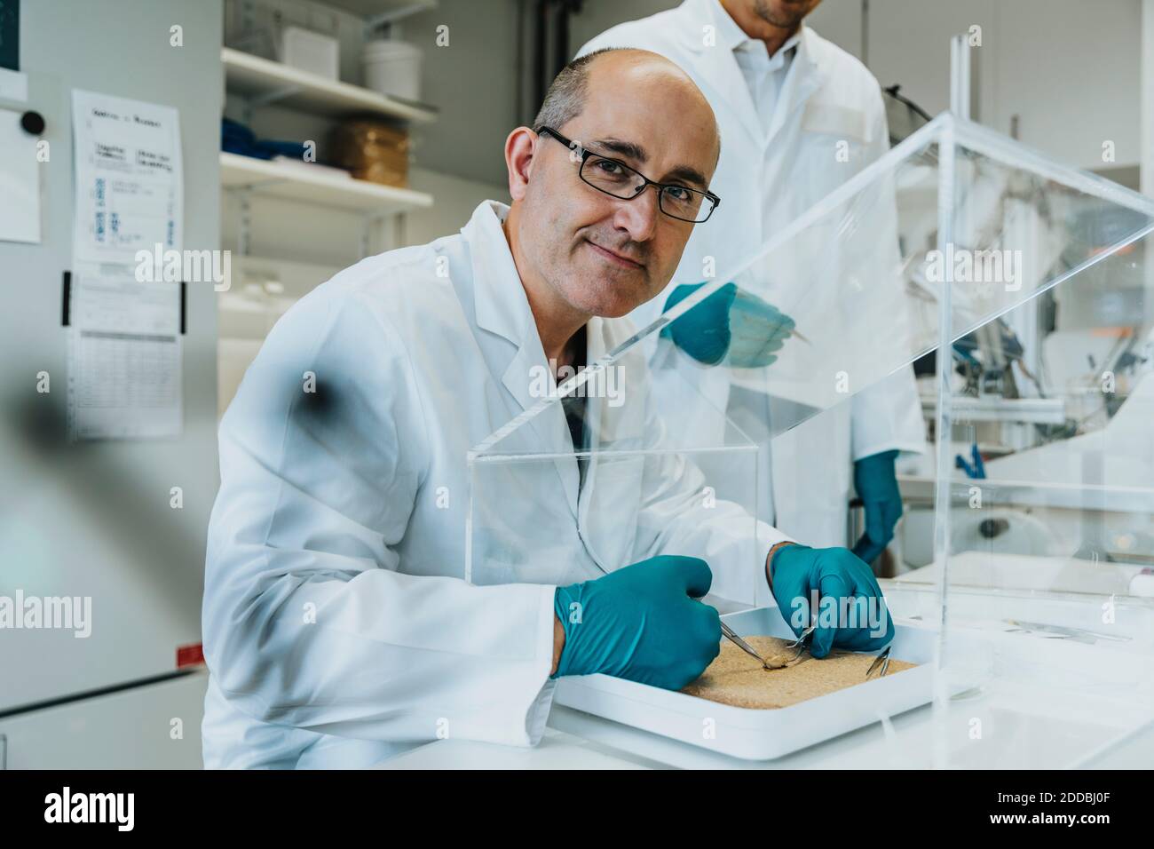 Laboratory animal medicine hi-res stock photography and images - Alamy