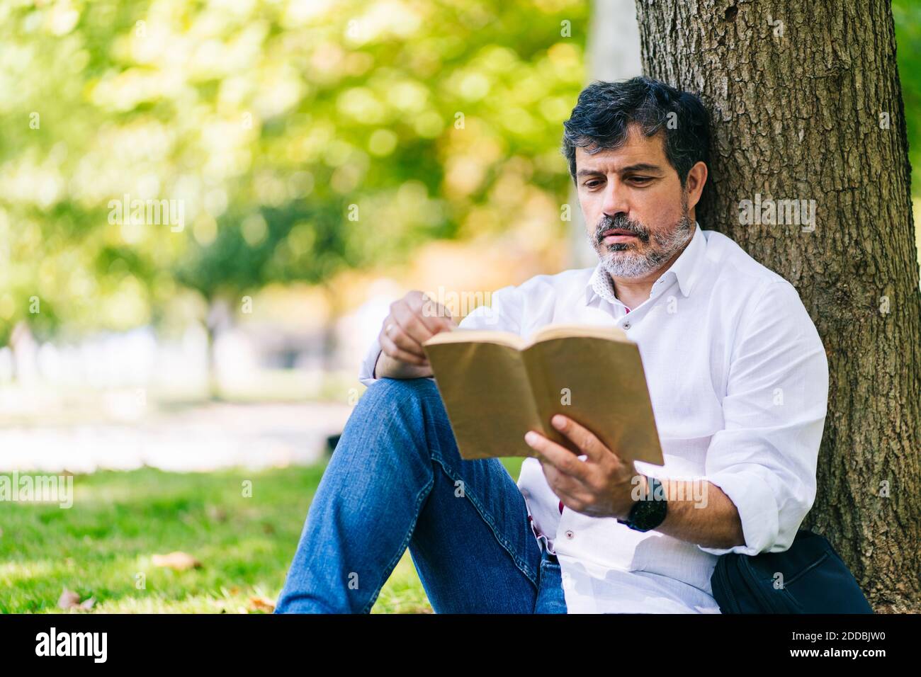 Reading in tree hi-res stock photography and images - Alamy