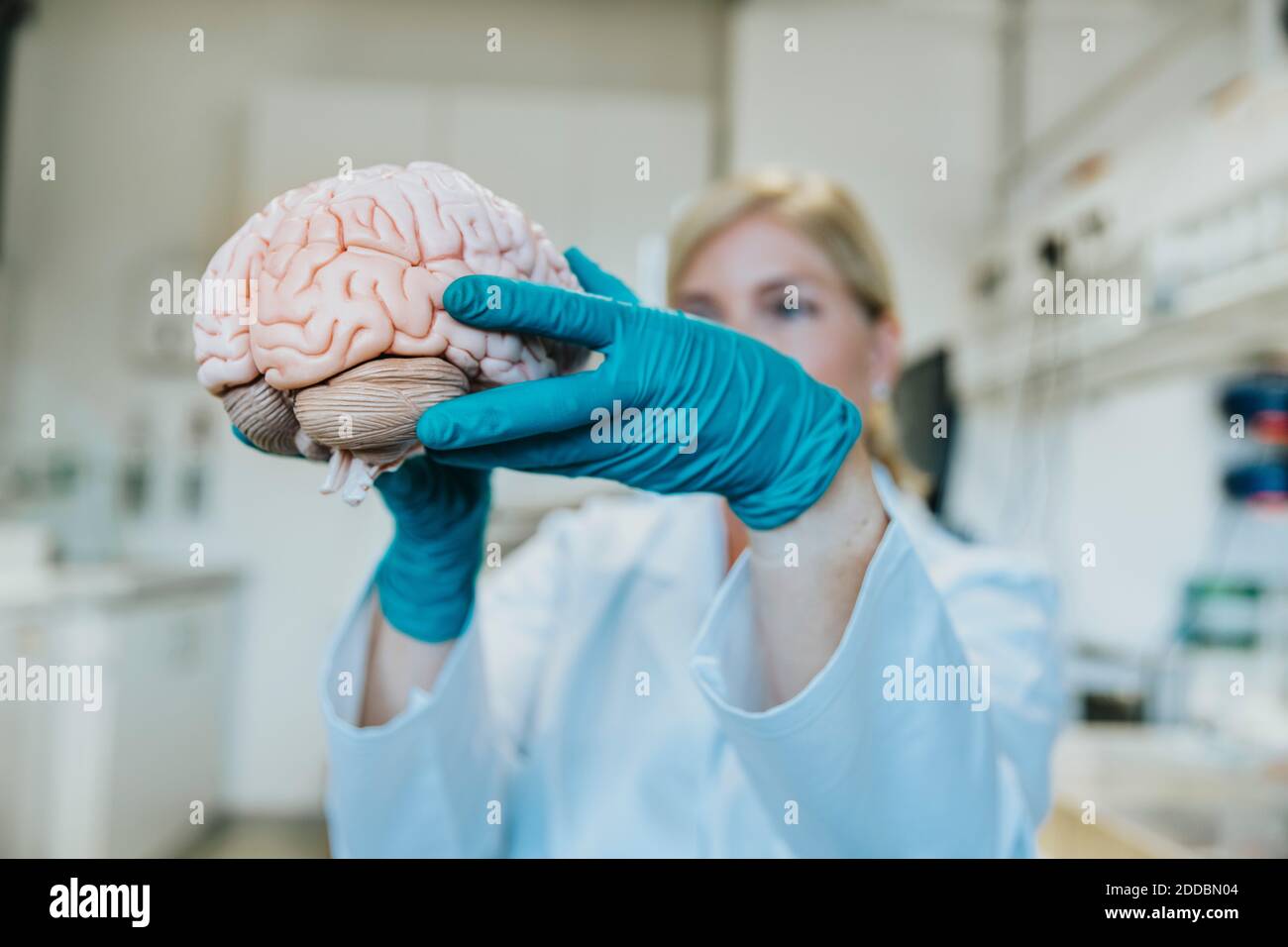 Mature woman holding artificial human brain while standing at ...