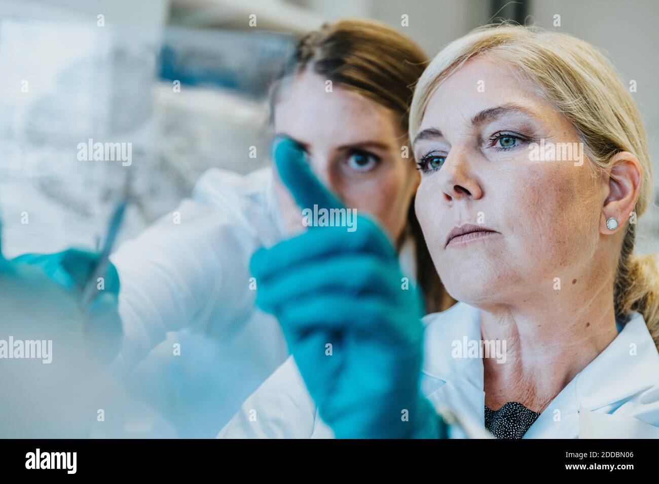 Human Internal Organs High Resolution Stock Photography and Images - Alamy