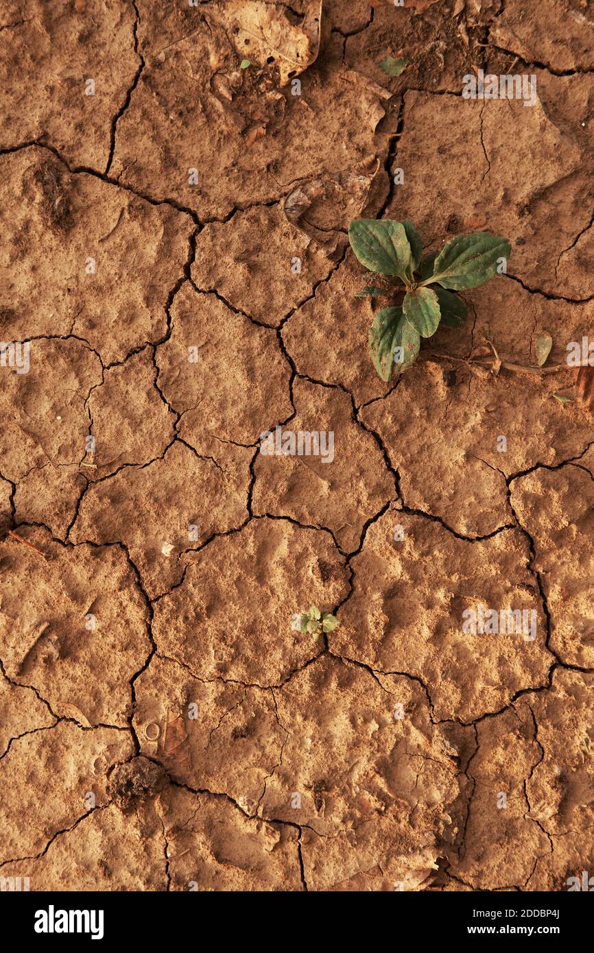 Dry cracked soil Stock Photo - Alamy