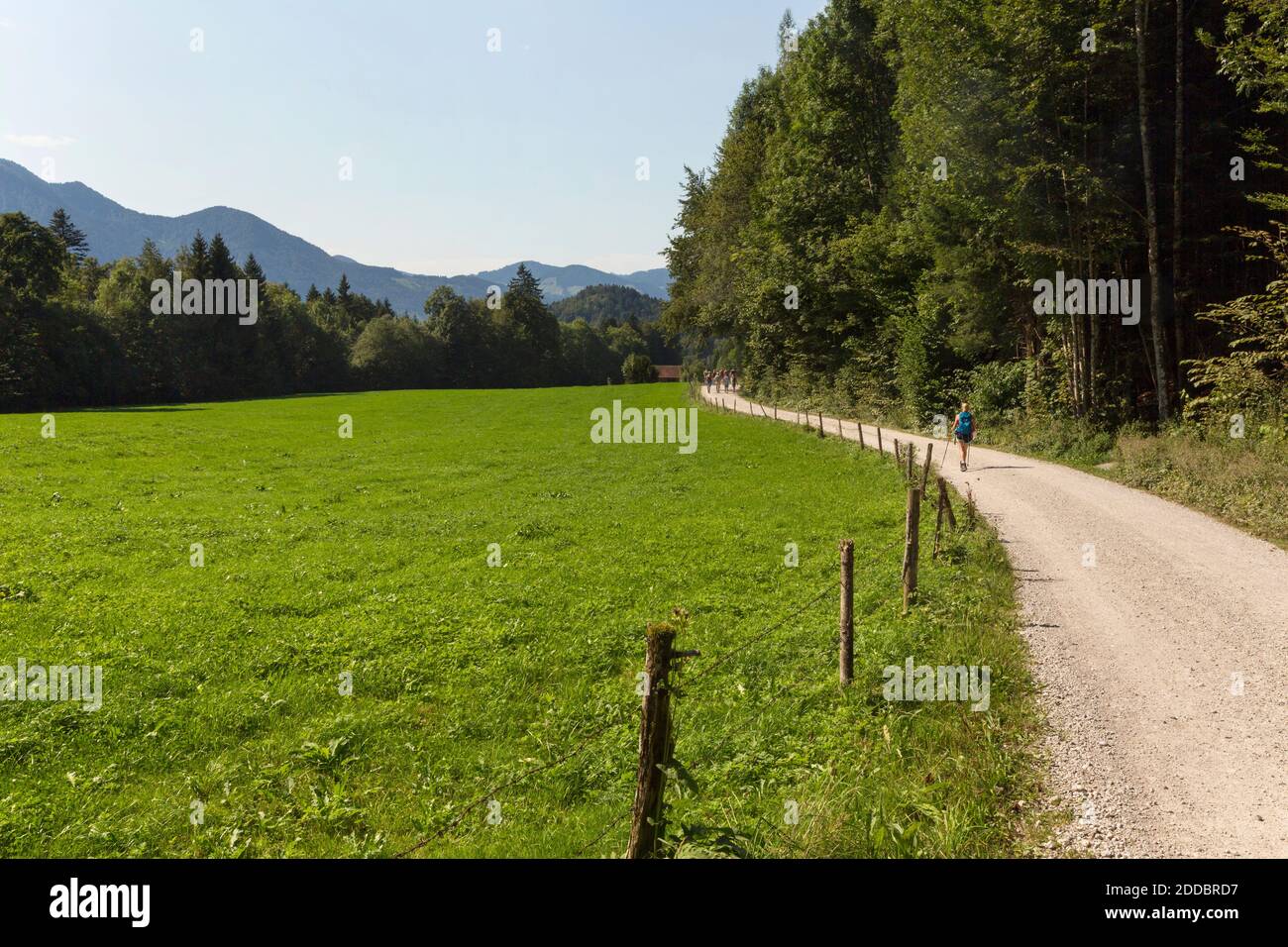Empty pasture hi-res stock photography and images - Alamy