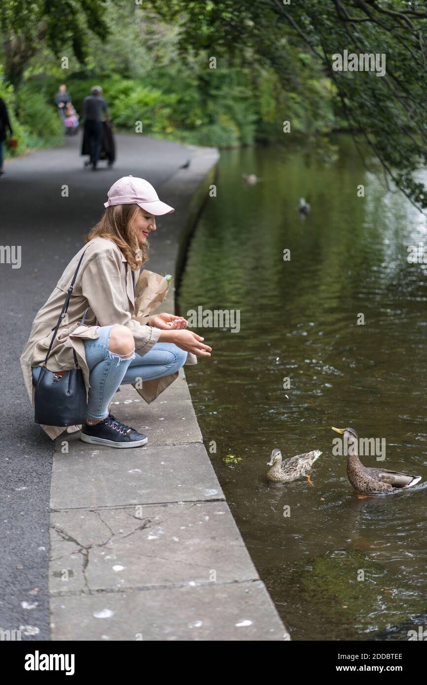 Dove bird hi-res stock photography and images - Alamy