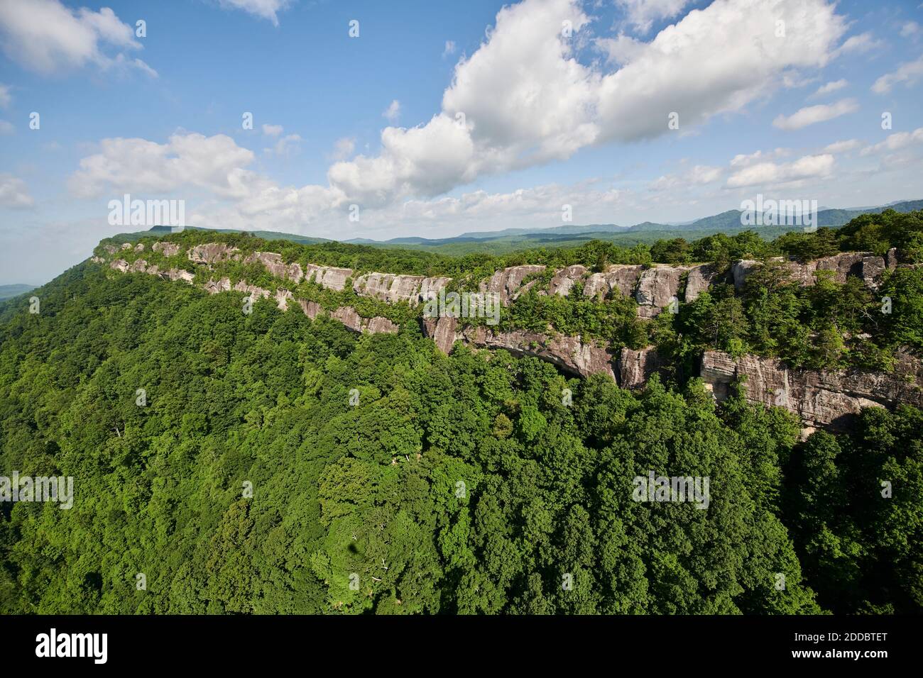 Forested canopy hi-res stock photography and images - Alamy