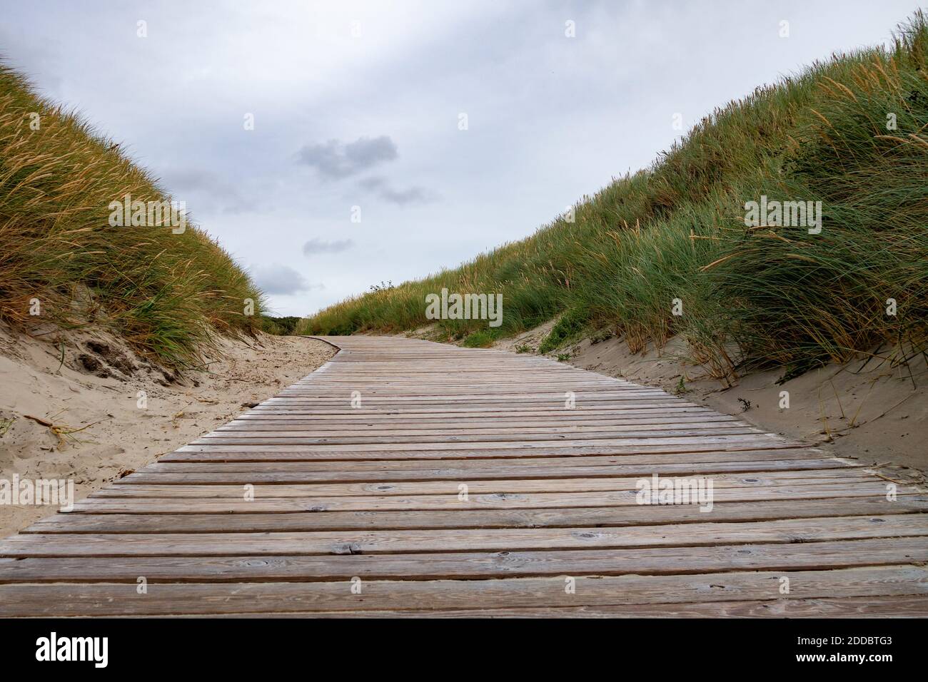 Empty boardwalk stretching across grassy beach Stock Photo - Alamy
