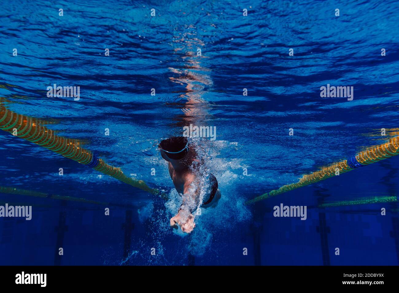 Male swimmer diving underwater in swimming pool Stock Photo - Alamy