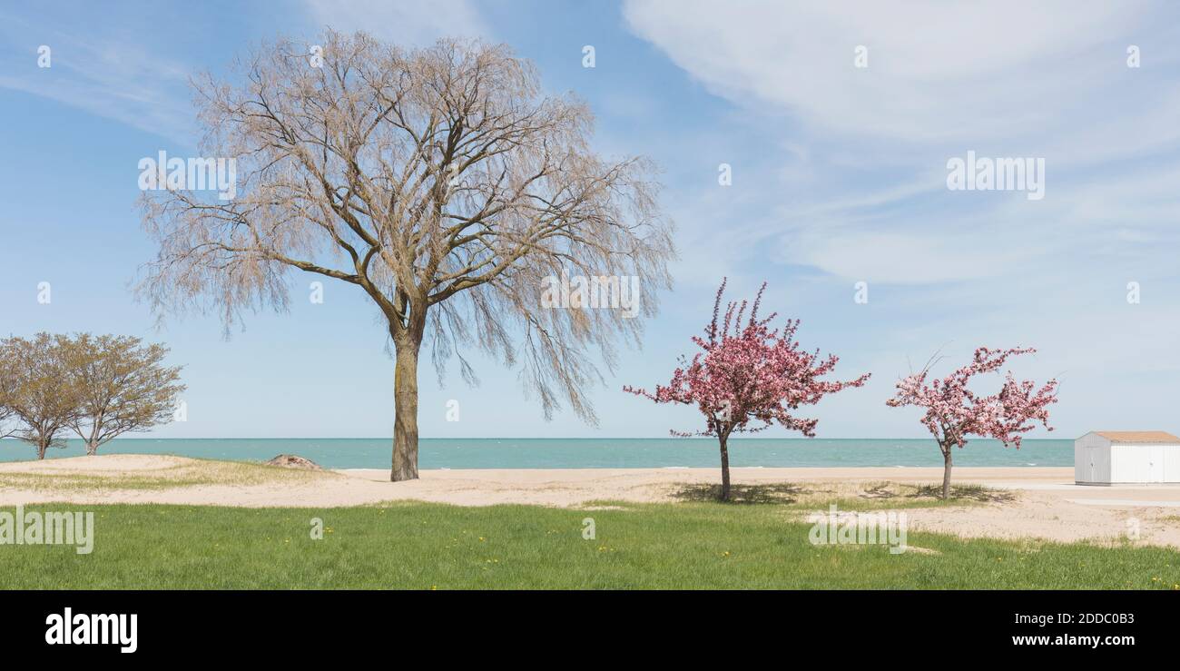 Chicago lake michigan trees hi-res stock photography and images - Alamy