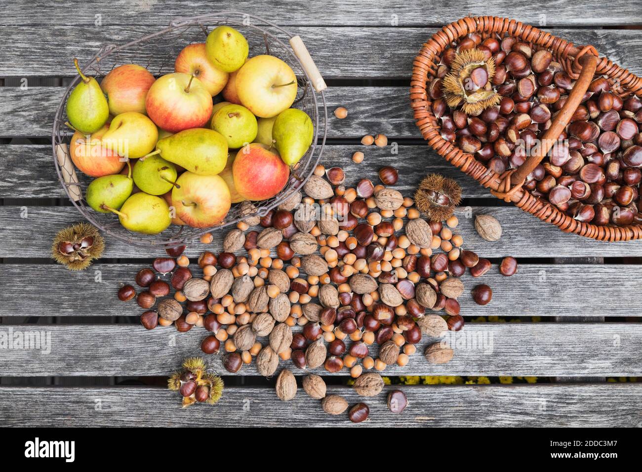 Garden table filled with autumn harvest of nuts and fruits Stock Photo ...
