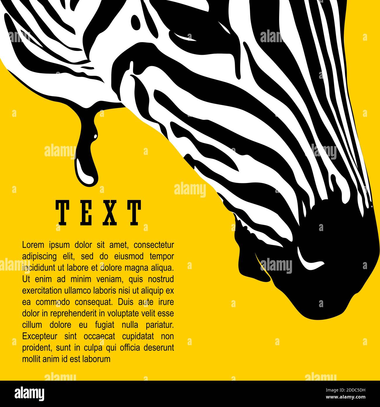 Zebra poster style Stock Vector Images - Alamy