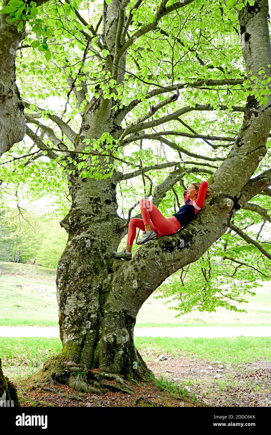 Back view woman on forest hi-res stock photography and images - Alamy