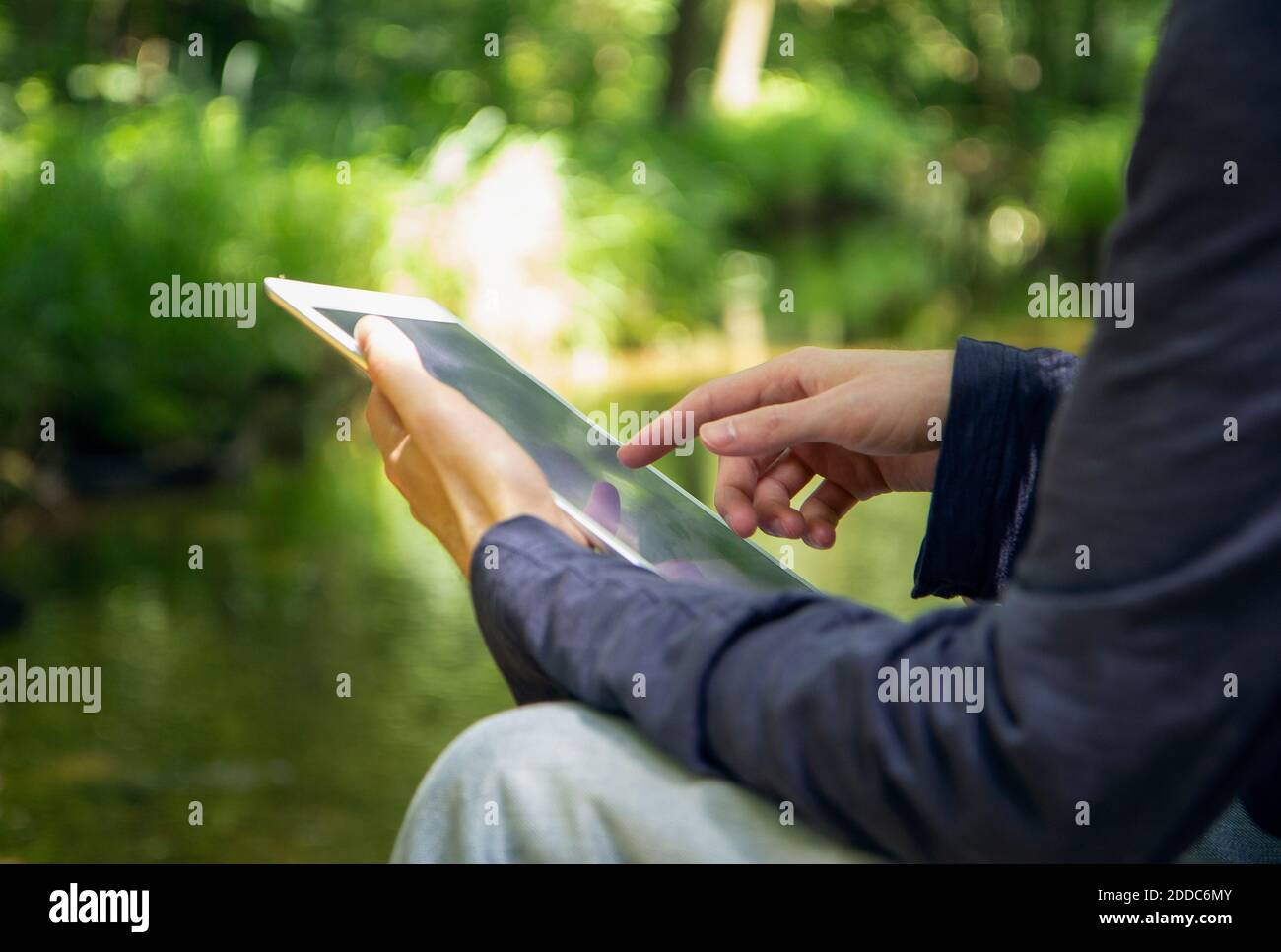 Communication in nature hi-res stock photography and images - Alamy
