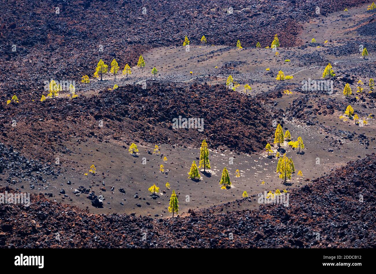 Volcanic terrain hi-res stock photography and images - Alamy