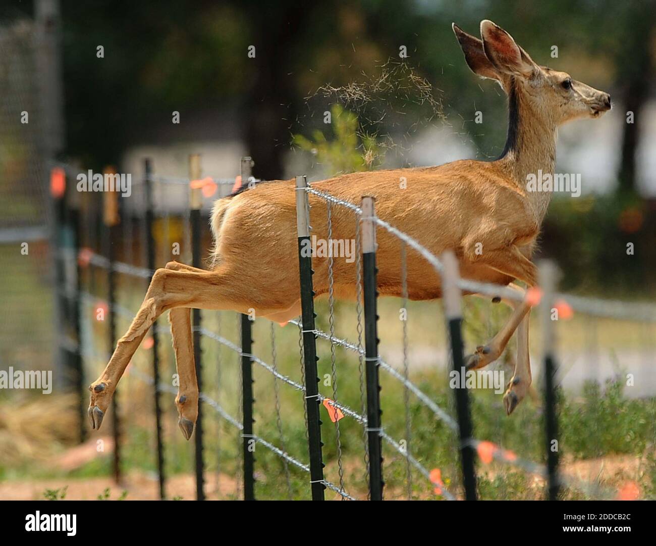 Deer fence highway hi-res stock photography and images - Alamy