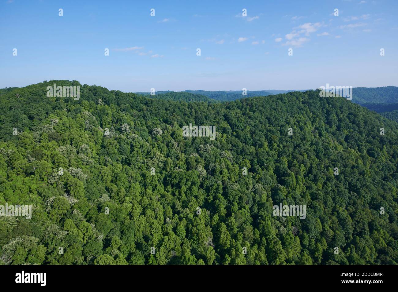 Aerial view of green Appalachian forest in summer Stock Photo - Alamy