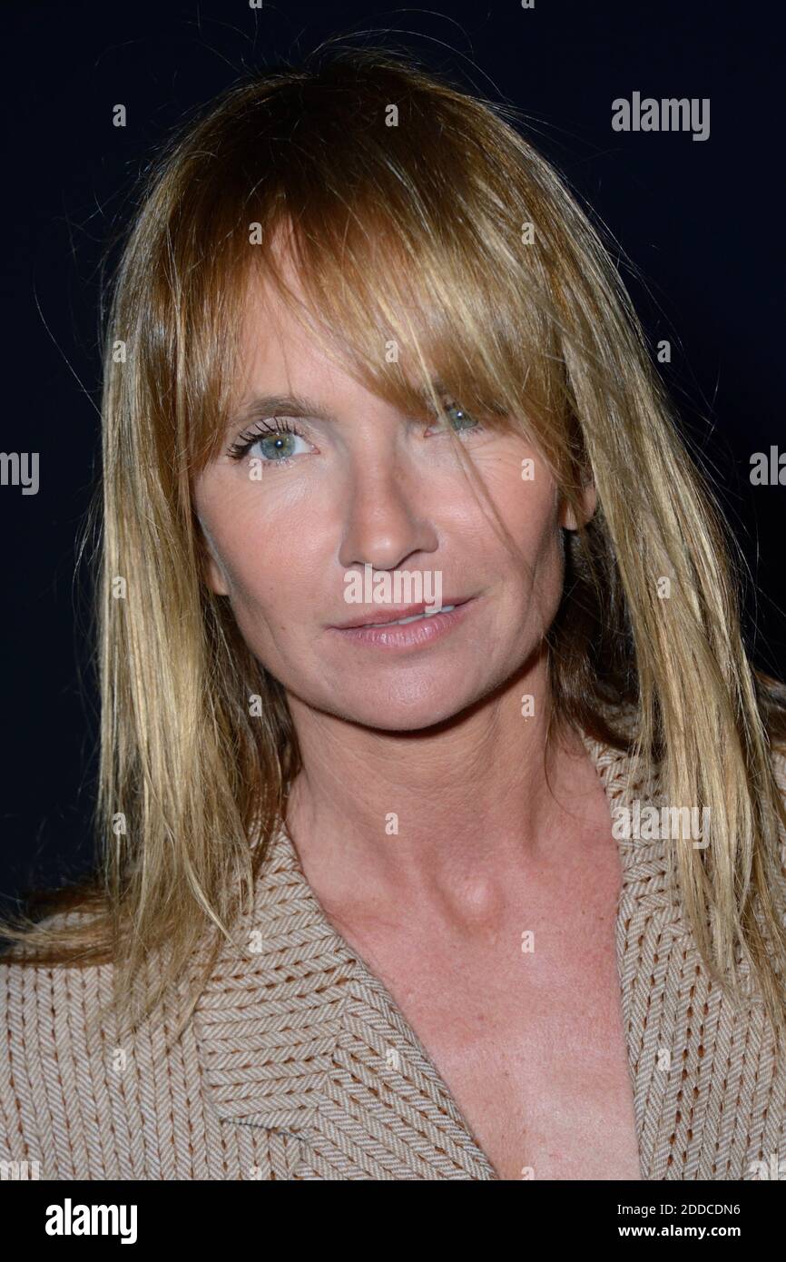 Axelle Laffont attending the John Galliano Fashion Show as part of ...