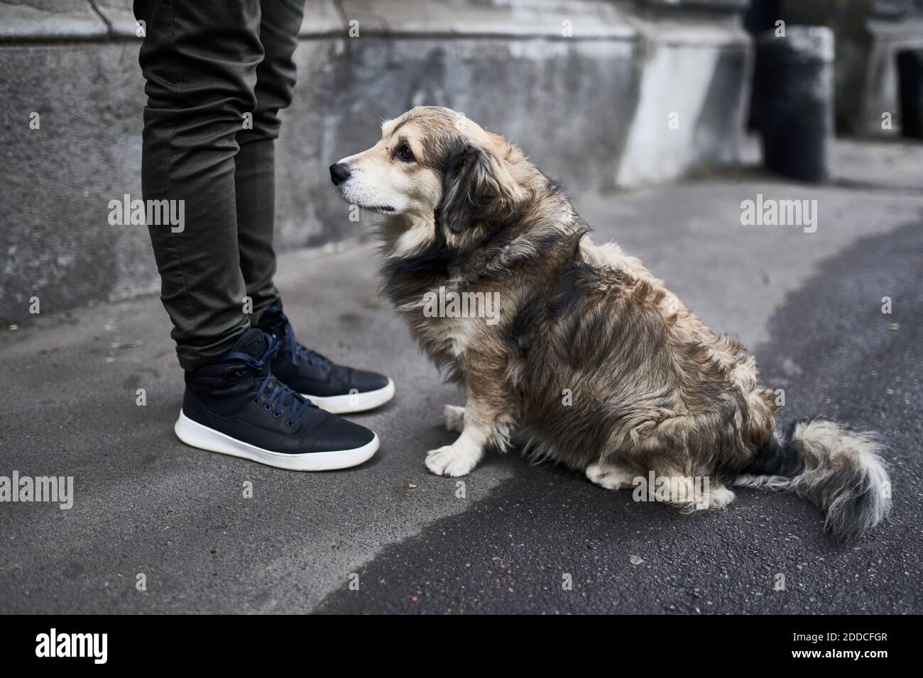 Sad man dog hi-res stock photography and images - Alamy