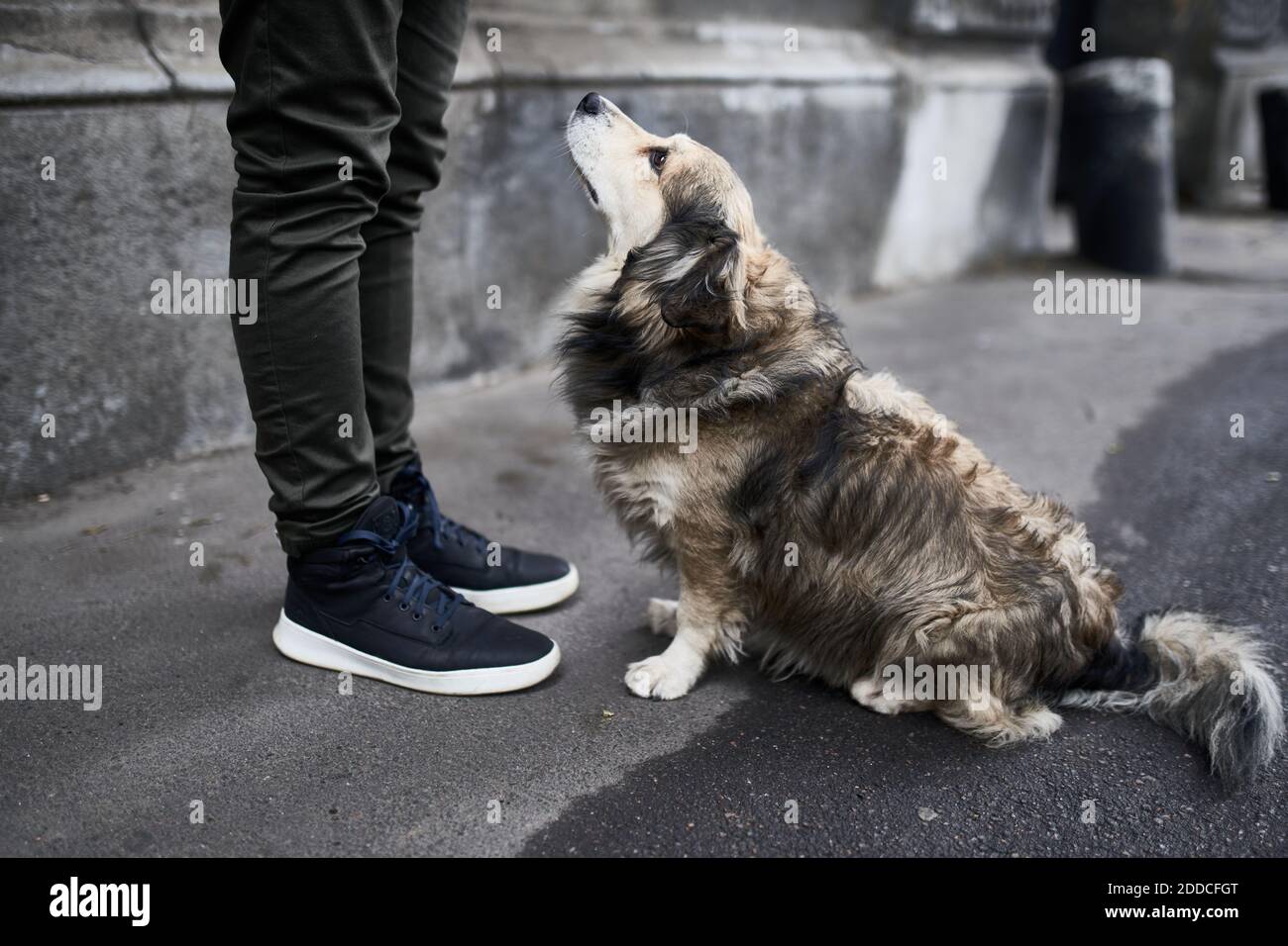 Sad man dog hi-res stock photography and images - Alamy