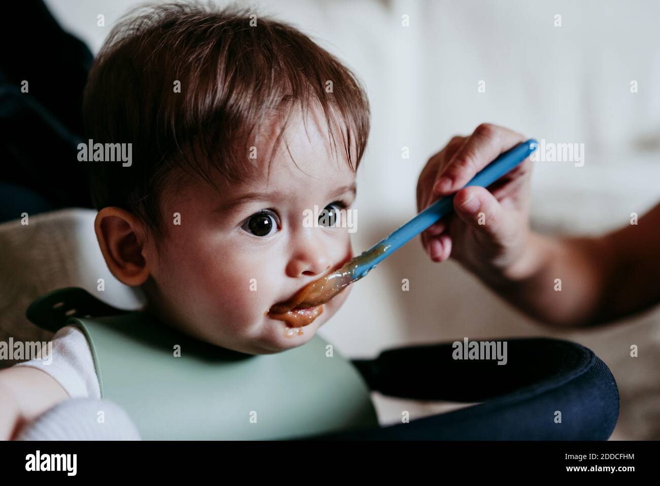 Hand feeding hi-res stock photography and images - Alamy