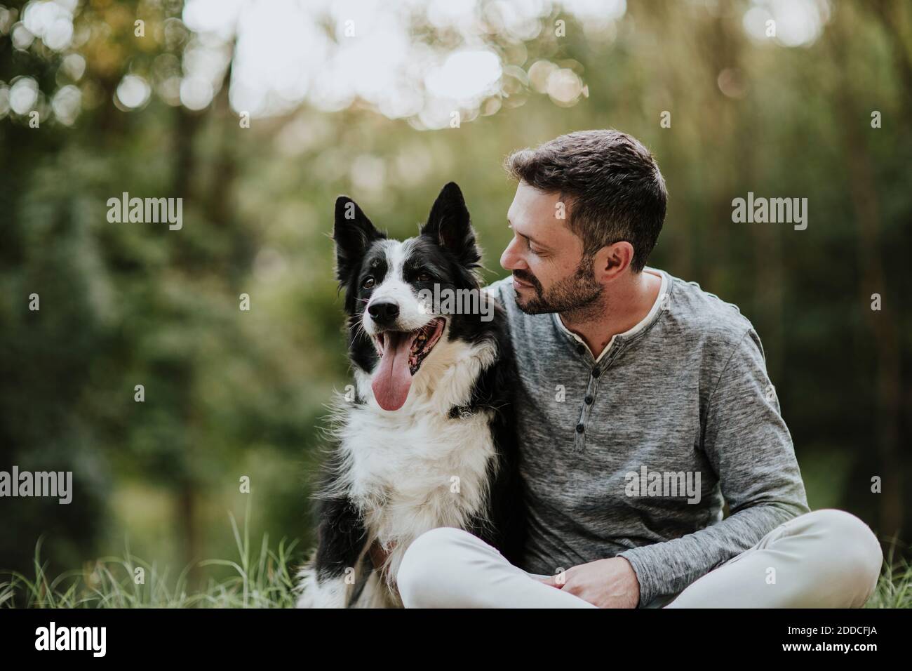 Staring dog hi-res stock photography and images - Alamy