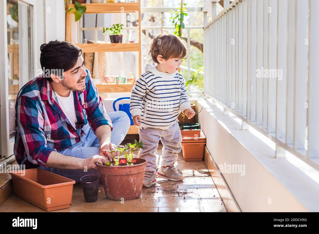 Boy plant pot hi-res stock photography and images - Alamy