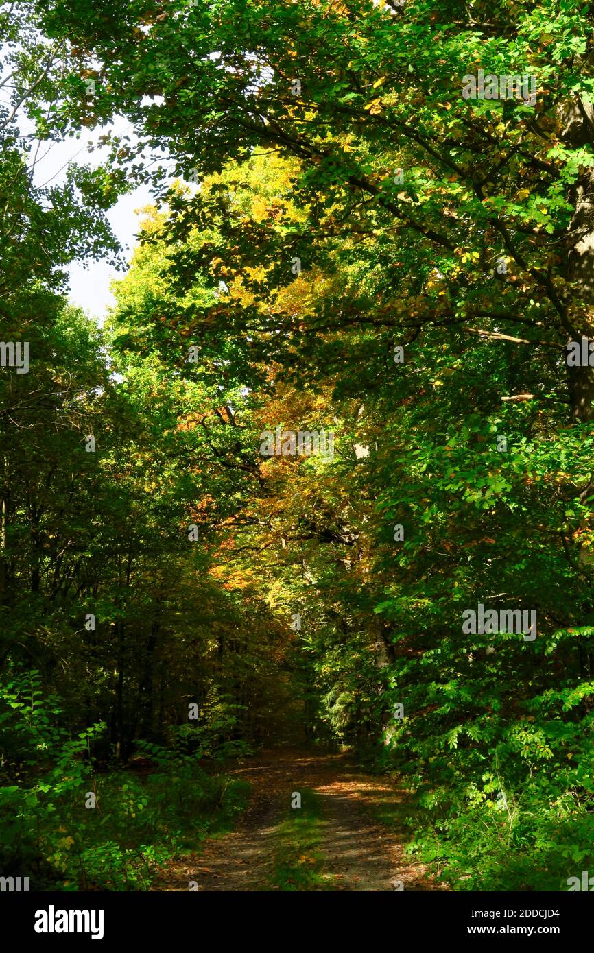 Malerweg hi-res stock photography and images - Alamy
