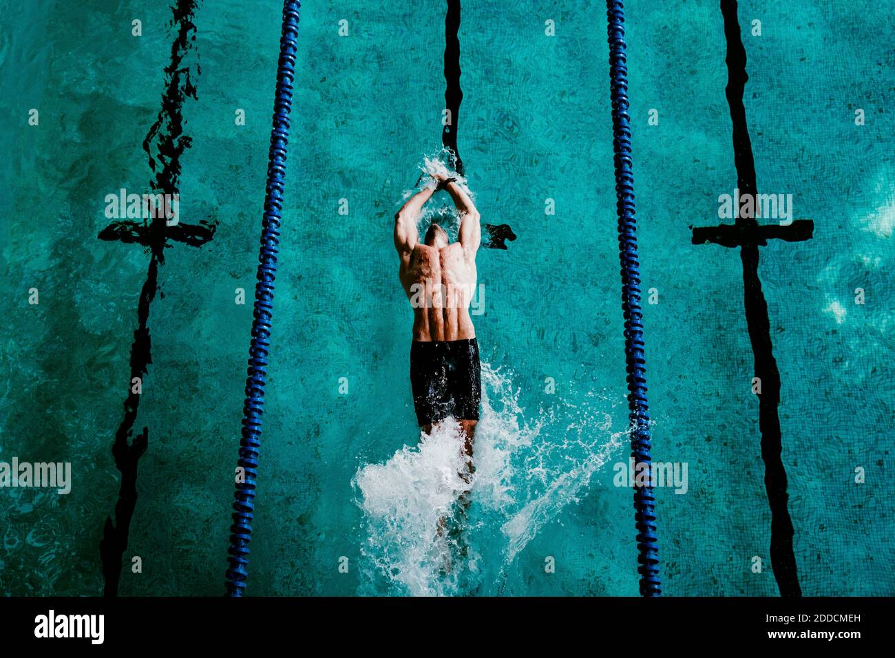 Male professional swimmer doing backstroke in swimming pool Stock Photo ...
