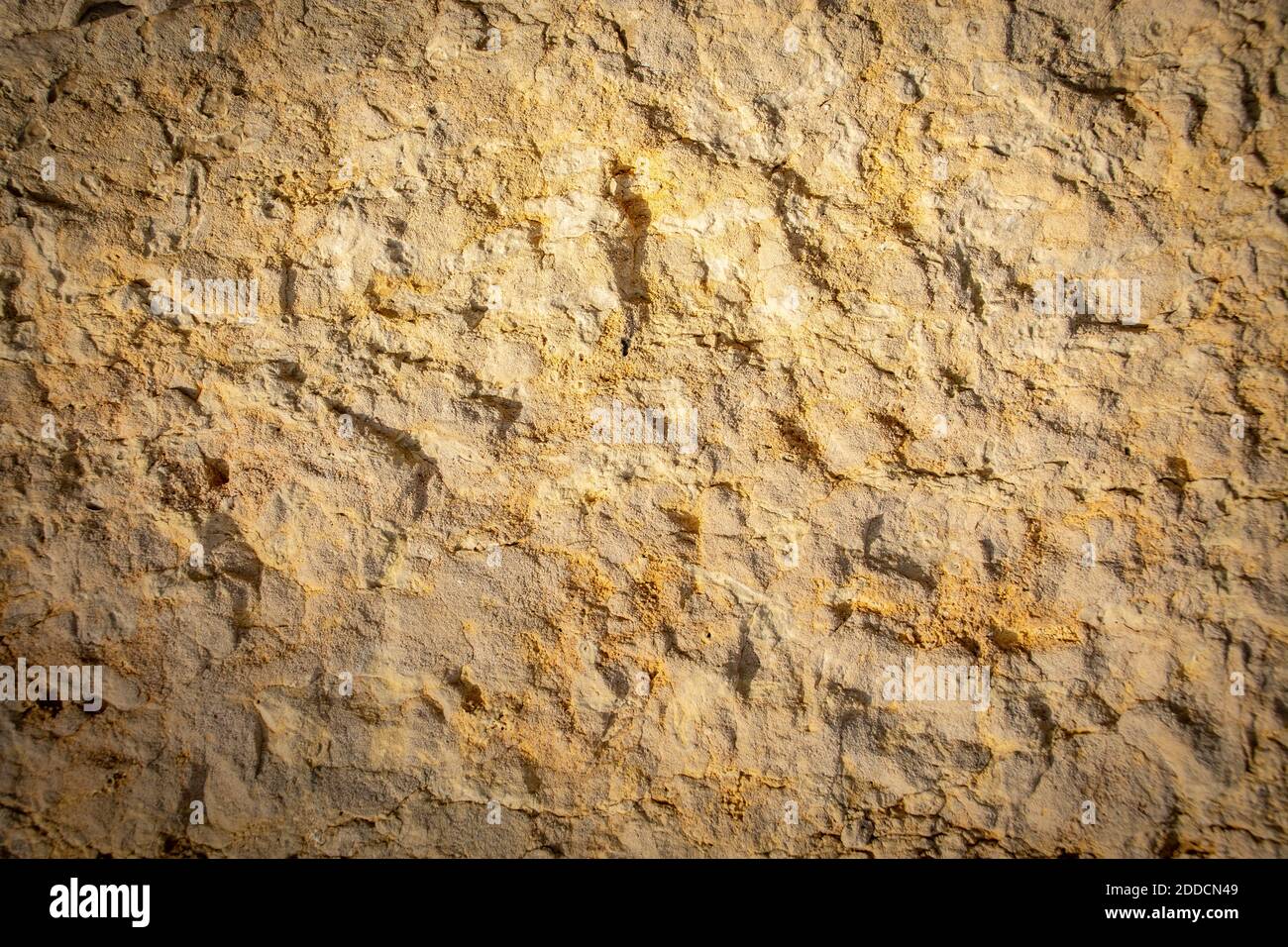 Handcarved sandstone wall closeup detail Stock Photo - Alamy
