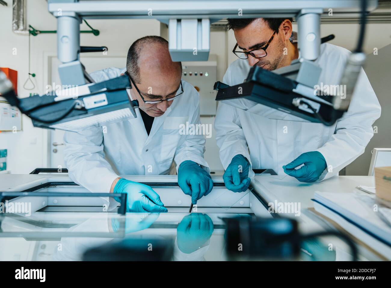 Male scientists preparing human brain slice while standing by freezer ...