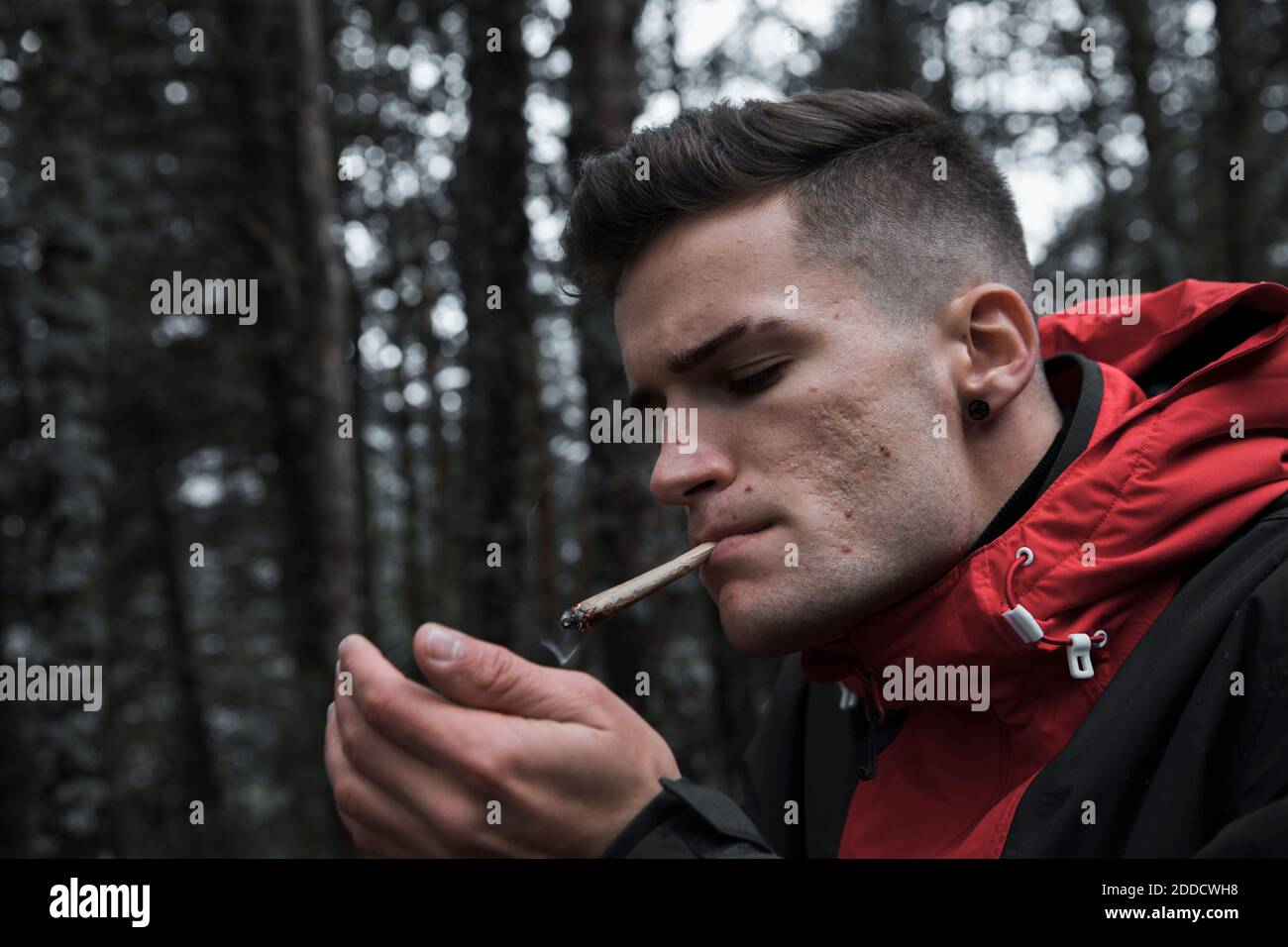 Cigarette forest hi-res stock photography and images - Alamy