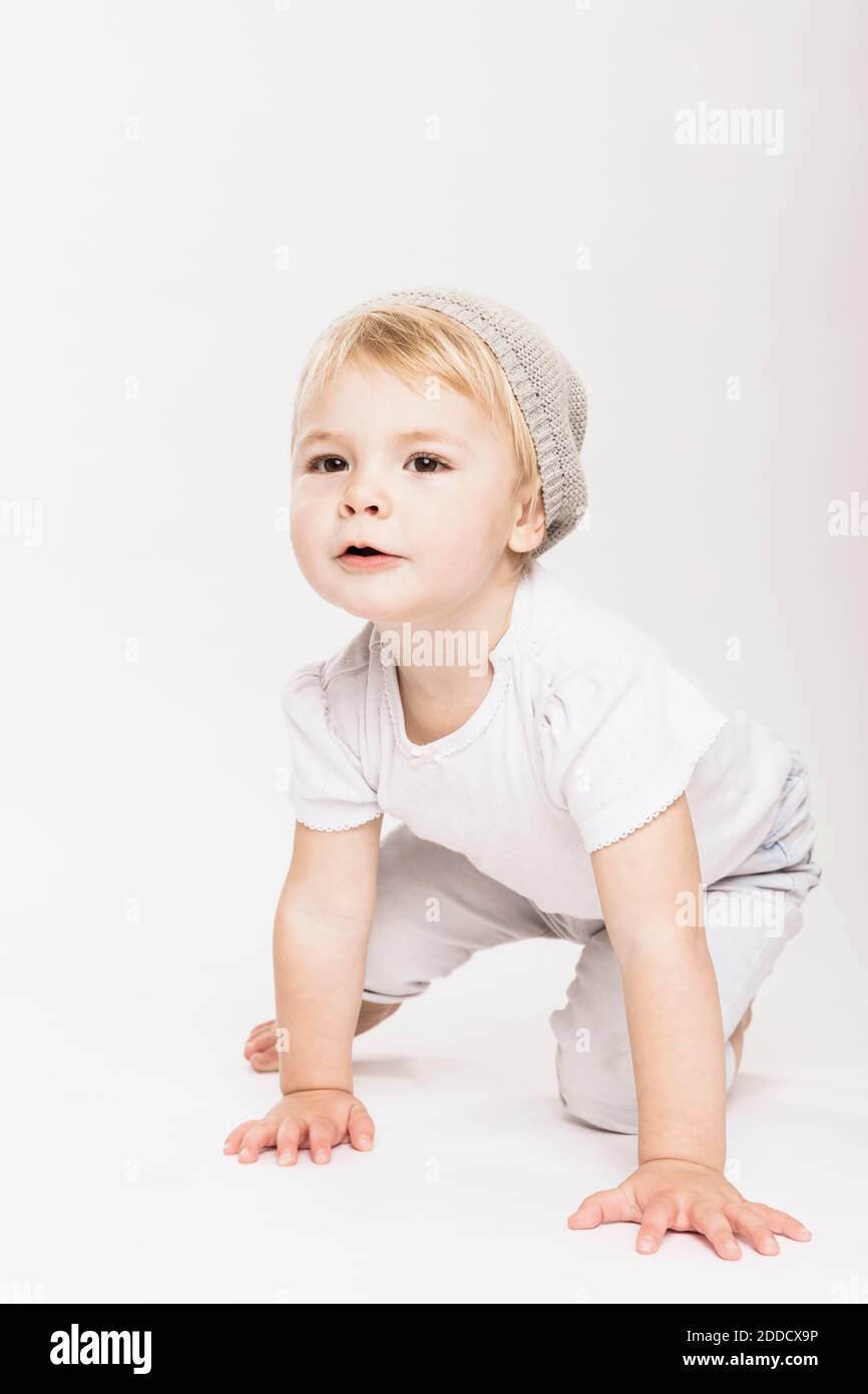 Cute little toddler girl crawling in studio against white background ...