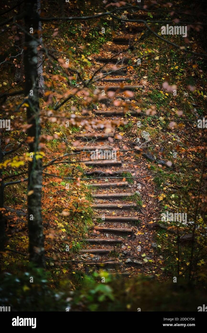 Steps hillside hi-res stock photography and images - Alamy