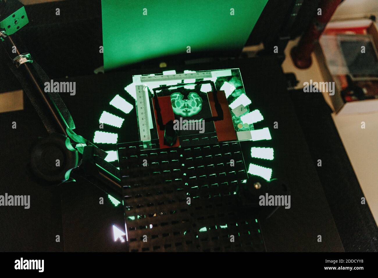 Human brain slide on illuminated microscope at laboratory Stock Photo ...