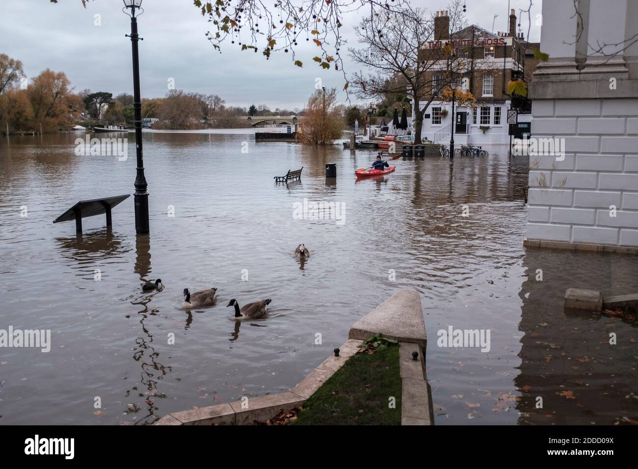 Canoeing through Richmond Riverside walk ,River Thames at high tide ...